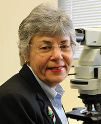 ISLH Online Education